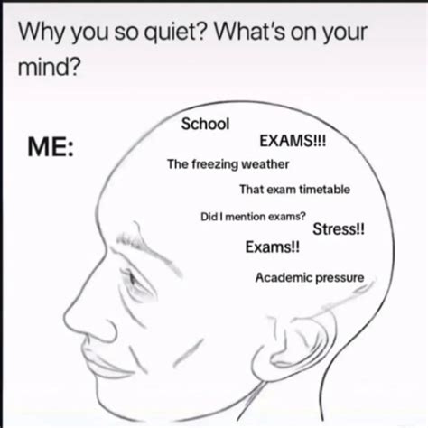 Center Of Excellence 📚 Himarwaiithete • Instagram Photos And Videos