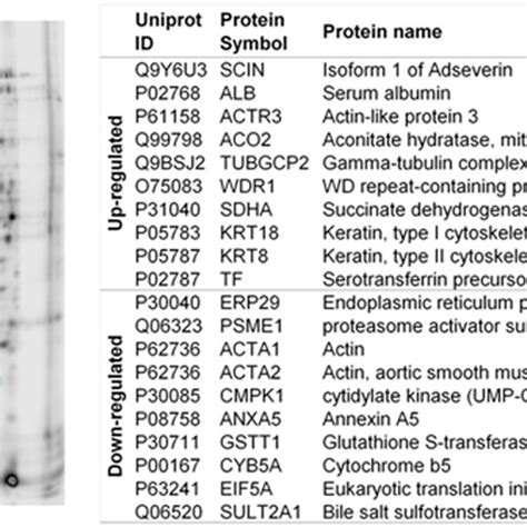 Ipa Comparative Analysis Of Microarray And Proteomic Expression
