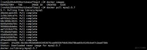 Docker安装MySQL 阿里云开发者社区