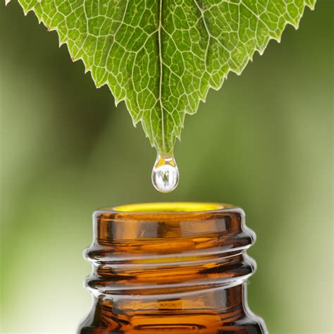 Citronella｜シトロネラール – Earth & Pure