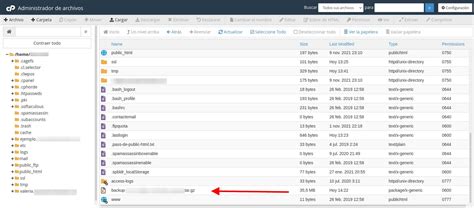 Cómo migrar WordPress paso a paso Neolo Blog