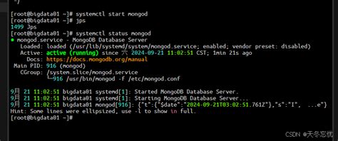 Mongodb在linux系统中的安装与配置指南liunx Mongodb 硬件配置 Csdn博客