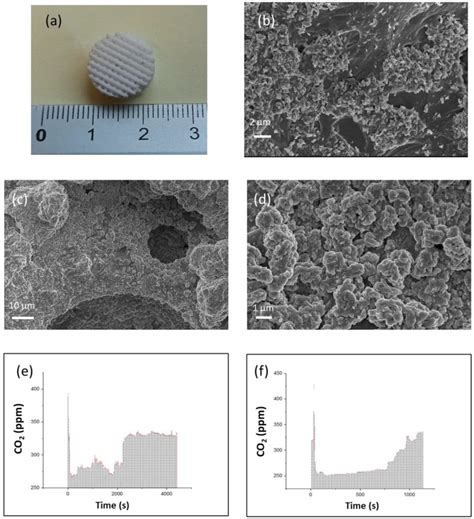 Photocurable 3d Printable Systems With Controlled Porosity Towards Co2