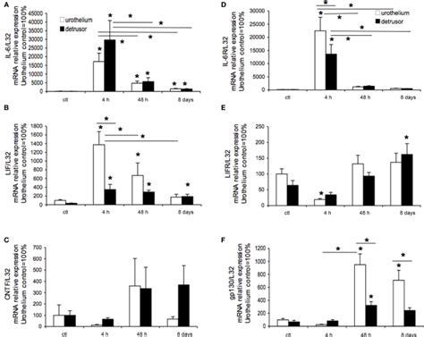 Regulation Of Interleukin Il 6 Type Cytokines And Receptors In