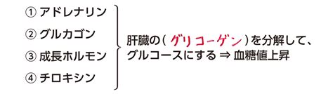 【高校生物基礎】「血糖を上げるホルモン」 映像授業のtry It トライイット
