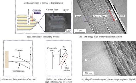 Schematic Of Sectioning Process When Cutting Direction Is Normal To Download Scientific Diagram