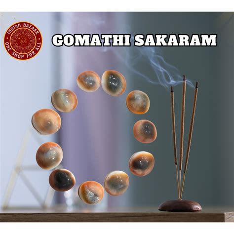 Original And Natural Gomathi Sakaram Chakra And Naga Chakra From India Small Medium Big Shopee