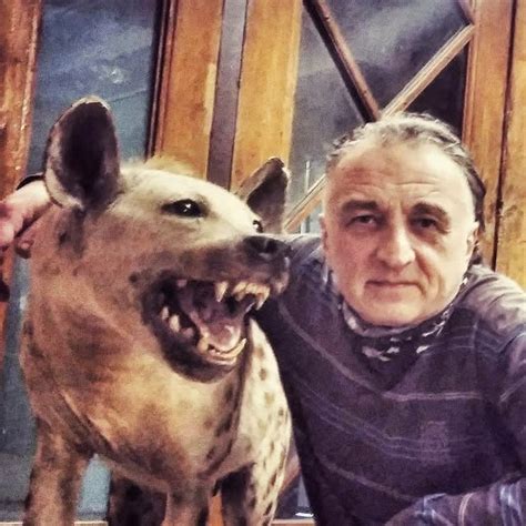 Количество контента вырастет на порядки даже не в разы вылизанного до хорошего качества и кто