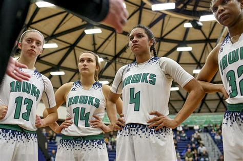 Michigan High School Girls Basketball