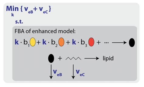 figure s6 optimization problem solved for finding the scaling factor