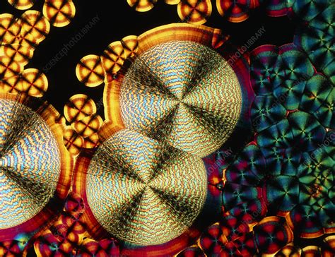 Vitamin C Crystal Structure At Michael Goodwin Blog