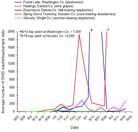 Historical Swd Trap Data Fruitedge