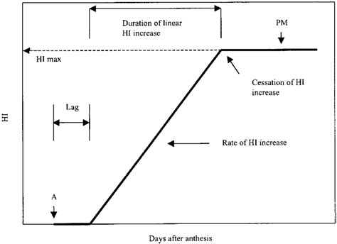 Schematic Of Broken Linear Equations For The Relationship Download Scientific Diagram