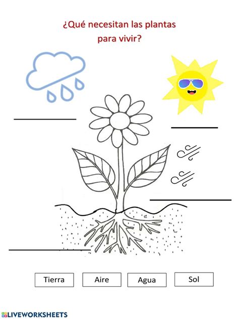 Que Necesita La Planta Para Vivir Pdf