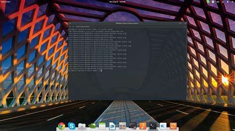 How To Search Files From The Terminal On Linux
