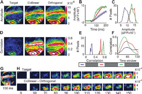 Collinear Versus Orthogonal Onset Synchronization Is More Informative