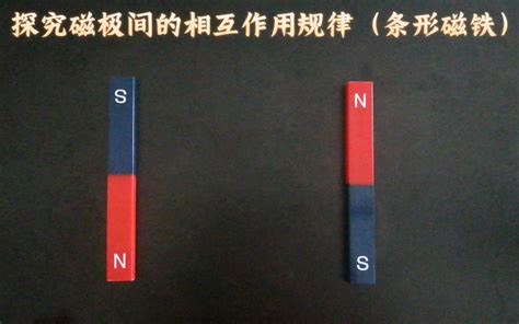 探究磁极间的相互作用规律条形磁铁 bilibili B站 无水印视频解析6li6在线工具箱