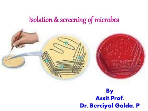 Presentation2unit1isolationscreeningofmicrobes 220424105902 Pdf
