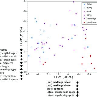 Plot Of The First Two Principal Coordinates For Diverse