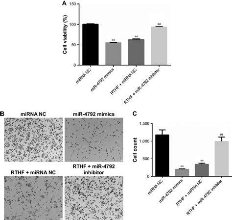 A549 Cell Viability And Invasion Ability After Different Treatments