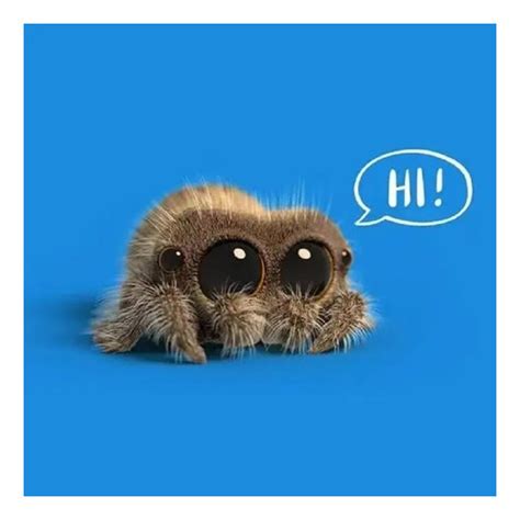 Muñeco De Peluche Araña Lucas 16 Cm Para Regalo Cuotas Sin Interés