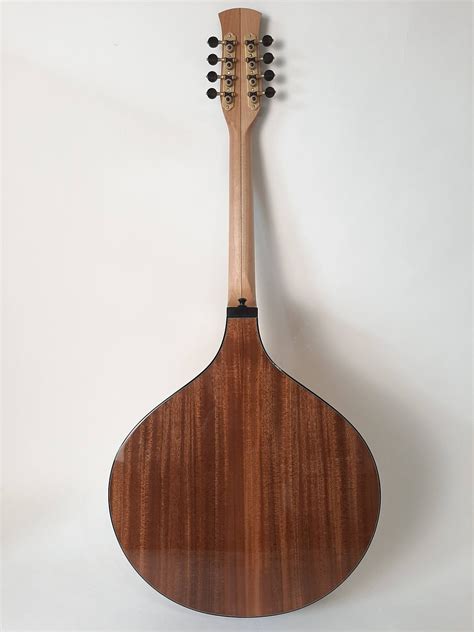 Small Ish Octave Mandolin Nyberg Instruments