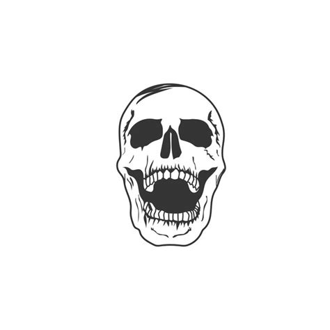 Premium Vector Human Skull Vector