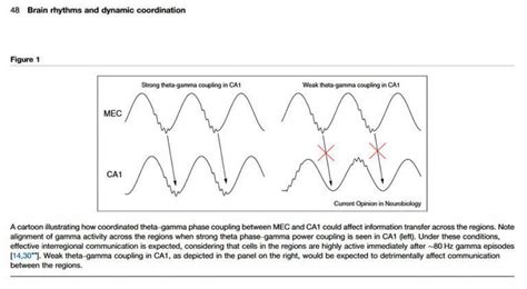 Theta Gamma Coupling May Facilitate Transfer Of Information