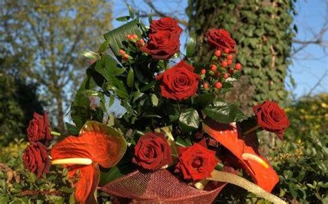 Red Roses Bokay Desi Comments