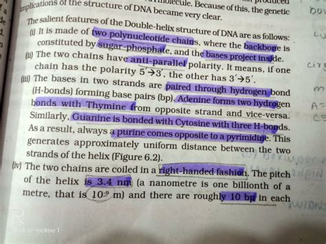 Molecular Basis Of Inheritance Ncert Flashcards Quizlet