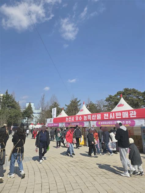 딸기 좋아하는 강아지 모여 논산 딸기 축제