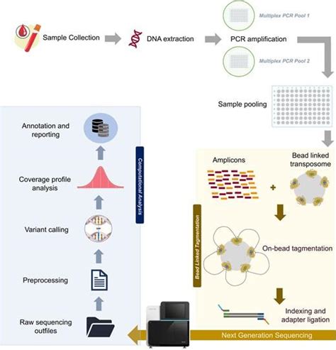 Vinod Scaria On Linkedin A Rapid And Scalable Multiplex Pcr Based Next