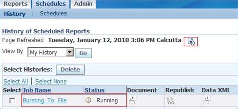 Step By Step On Bursting Bi Publisher Reports