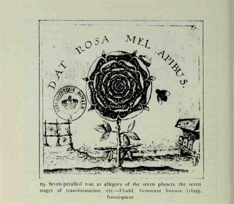 Images From Carl Jungs Psychology And Alchemy Carl Jung