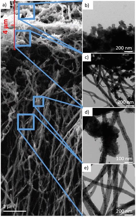 Sem Images Combined With Transmission Electron Microscopy Tem Images Download Scientific
