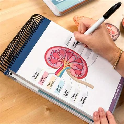 1 This Anatomy Label Lab Workbook 100 Full Color Dry Erase Page