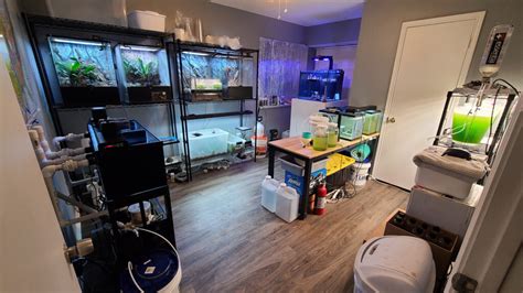 My Fish Room Tour 2022