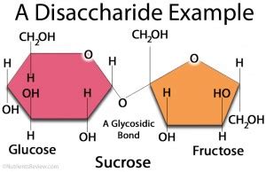 Disaccharides