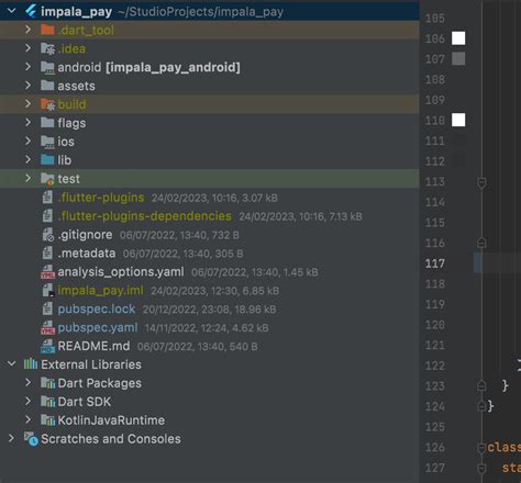 Flutter In Android Studio Not Visible In Project Pane Stack Overflow