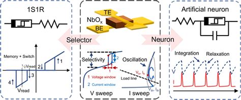 The Structure Typical I V Curves And Applications Of Nbox Devices The Download Scientific