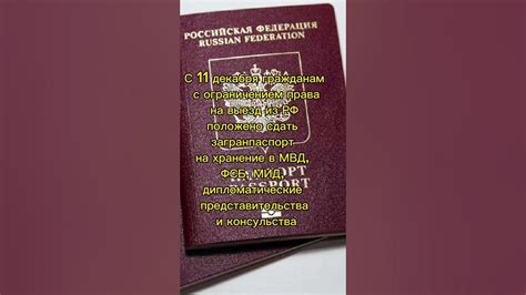 Загранпаспорта у невыездных россиян начнут изымать семейныйюрист