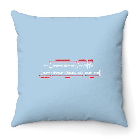 Standard Model Equation Physics Theory Higgs Boson Throw Pillows Throw Pillows Cover Onlys 14
