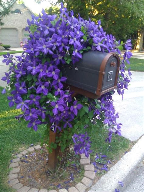Best Mailbox Planter Ideas Images On Pinterest Mailbox Planter Mailbox Ideas And Mailbox