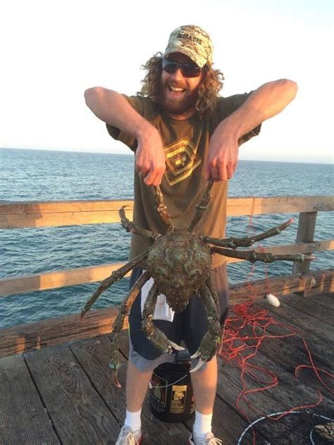 Crab Hoop Netting Bloodydecks