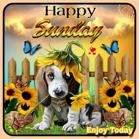 Bee Happy Have An Awesome New Week Sundays Blessings With Puppies