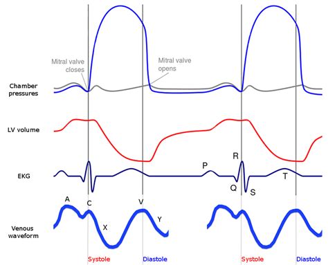 Jugular Venous Pressure Jvp Measurement Waveforms Geeky Medics