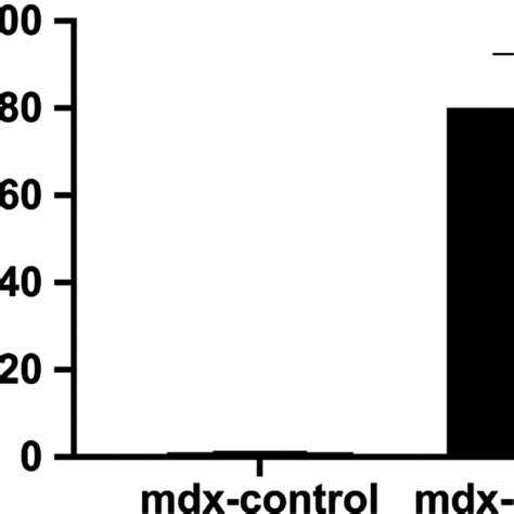 Pgc‐1α Transcript Expression Increased Following Gene Delivery Pgc‐1α
