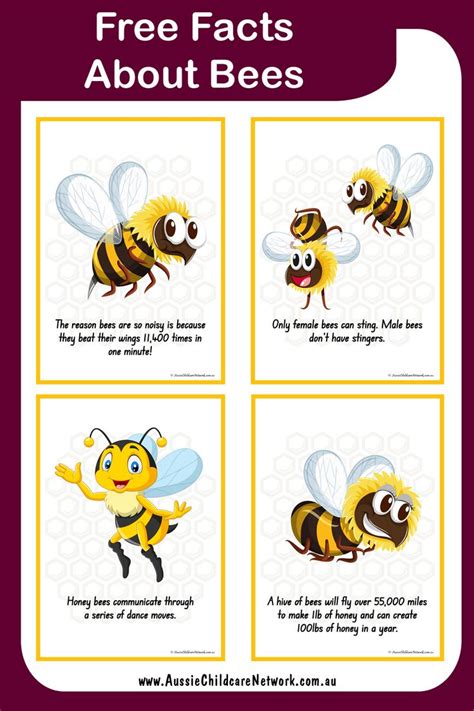 7 Fun Facts About Bees