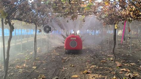 무인 Ss 기 포도 농장 농약살포영상 Youtube