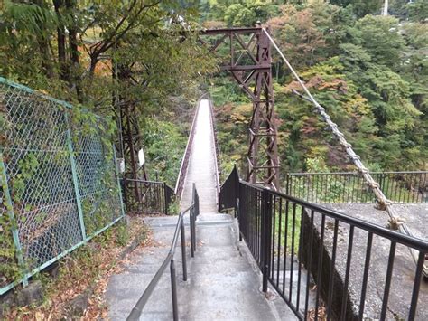 ペット同伴旅行観光 日光鬼怒川